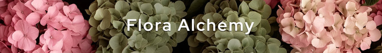 Flora Alchemy – Veuroma